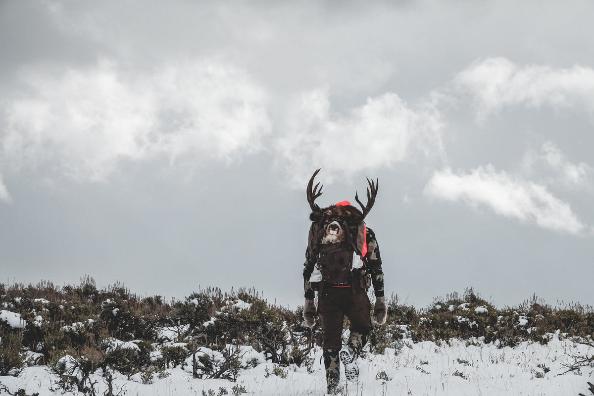 Elusive Outdoors – Elusive Hunting